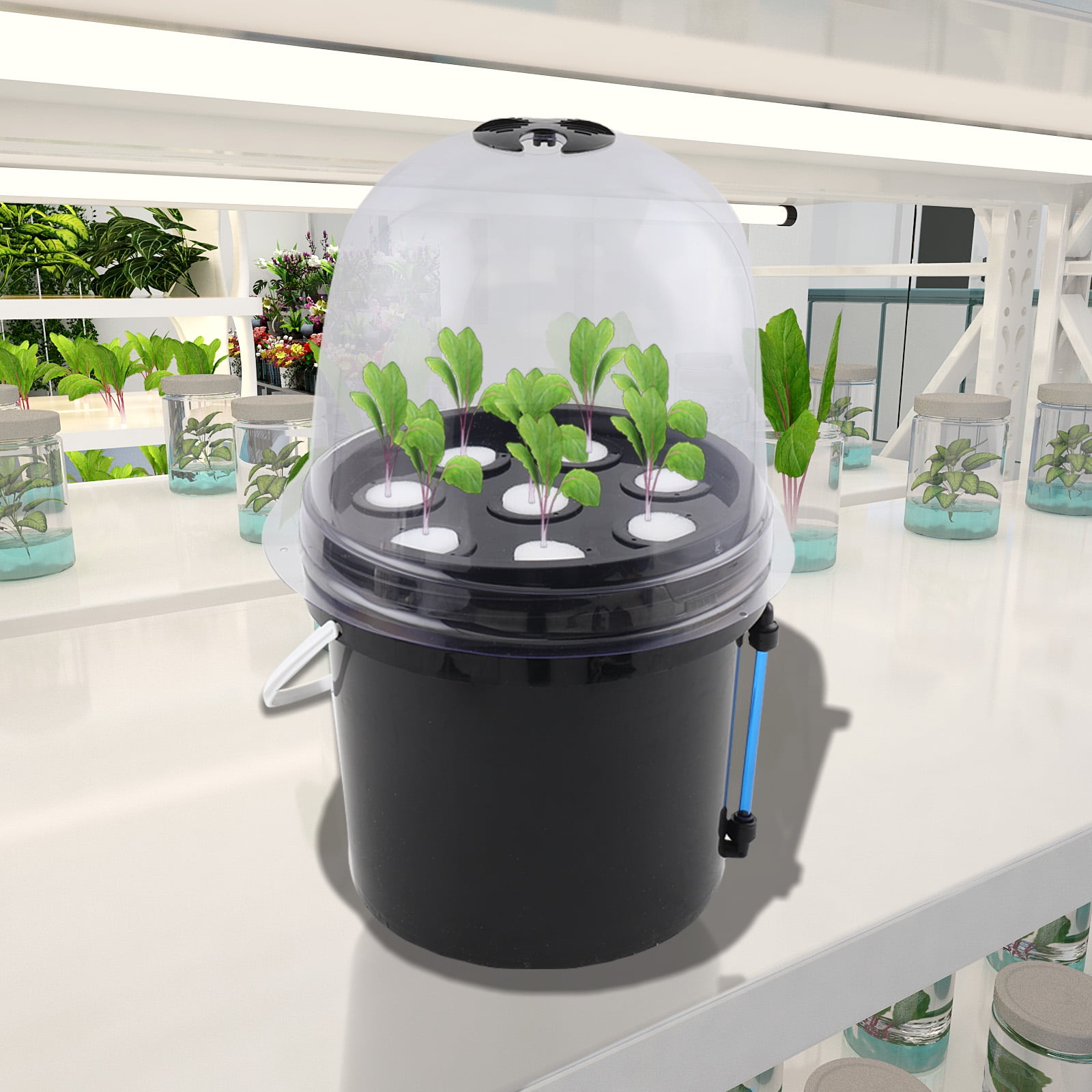 CDZHLTG 8 Holes Hydroponic Grow Water Culture Fog Seedling Cultivation ...