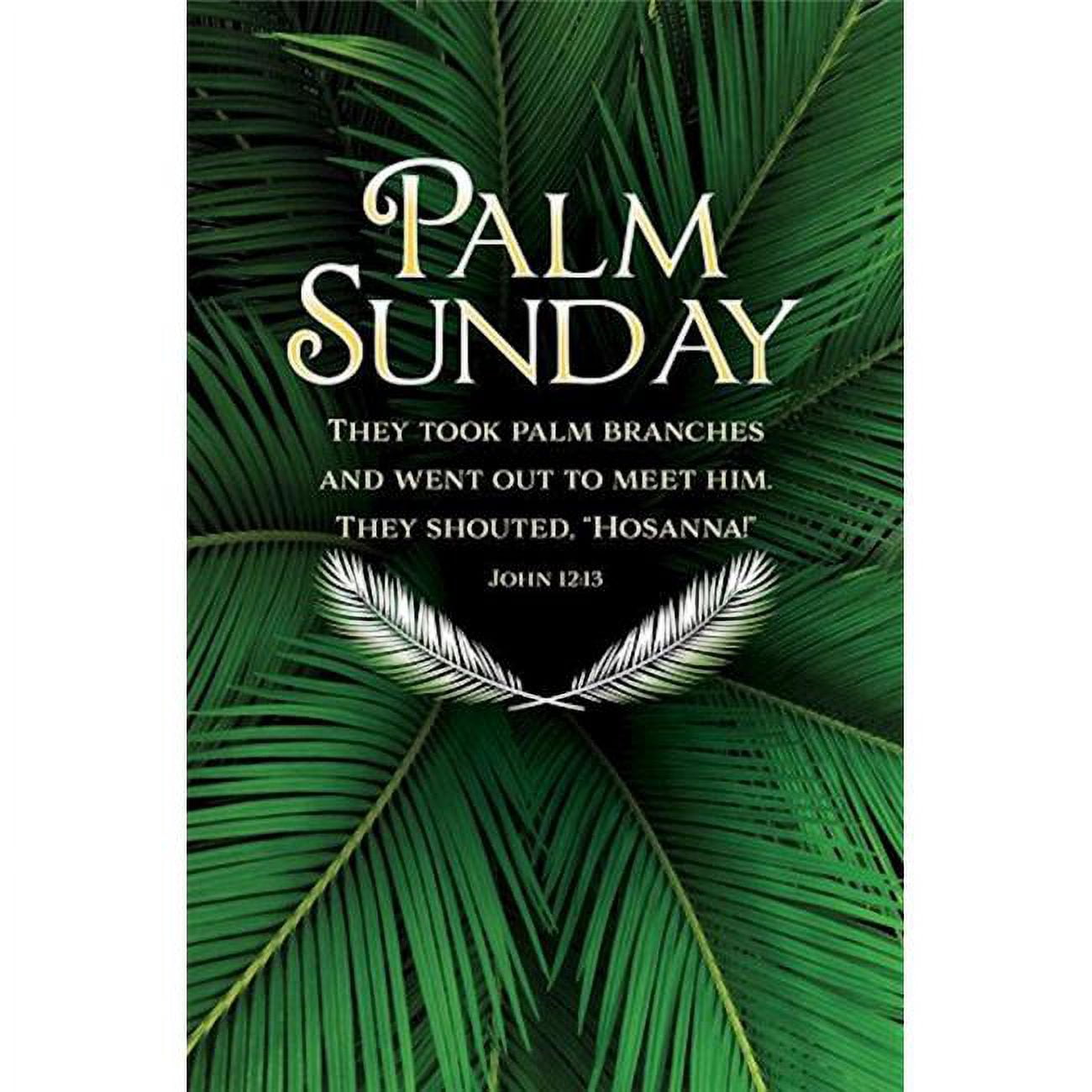CEB Palm Sunday - They Took Palm Branches Bulletin - Pack of 100 ...