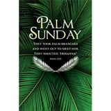 CEB Palm Sunday - They Took Palm Branches Bulletin - Pack of 100 ...