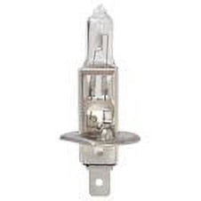 P21w Bulb
