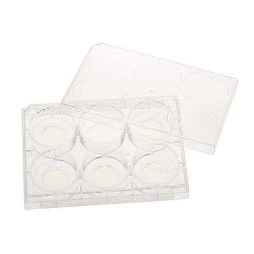 CELLTREAT 229107 6 Well Tissue Culture Plate with Lid, 20 mm Glass ...