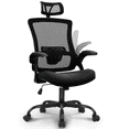 CELTOSS Ergonomic Office Chair, High Back Flip-Up Armrests Design ...