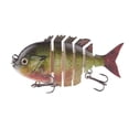 CEORPER 3D Artificial Fishing Lures Segment Swimbait Multiple Sections ...