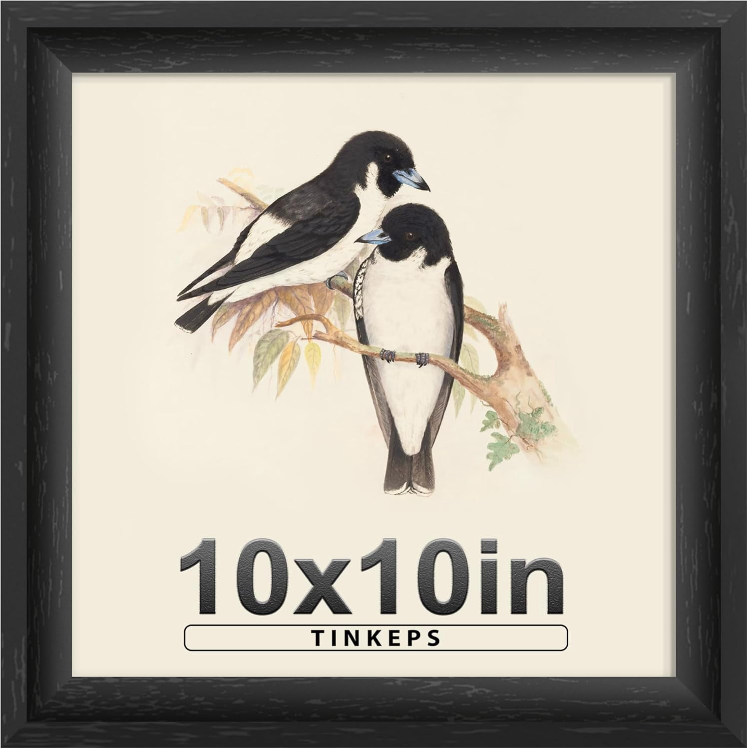 CERPXFF-10x10 Frame Black, 1.37-Inch Wide Border 10x10 Picture Frame ...