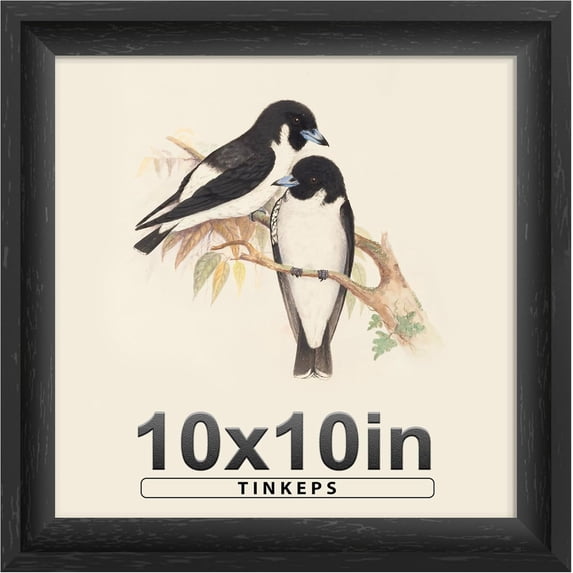 CERPXFF-10x10 Frame Black, 1.37-Inch Wide Border 10x10 Picture Frame ...
