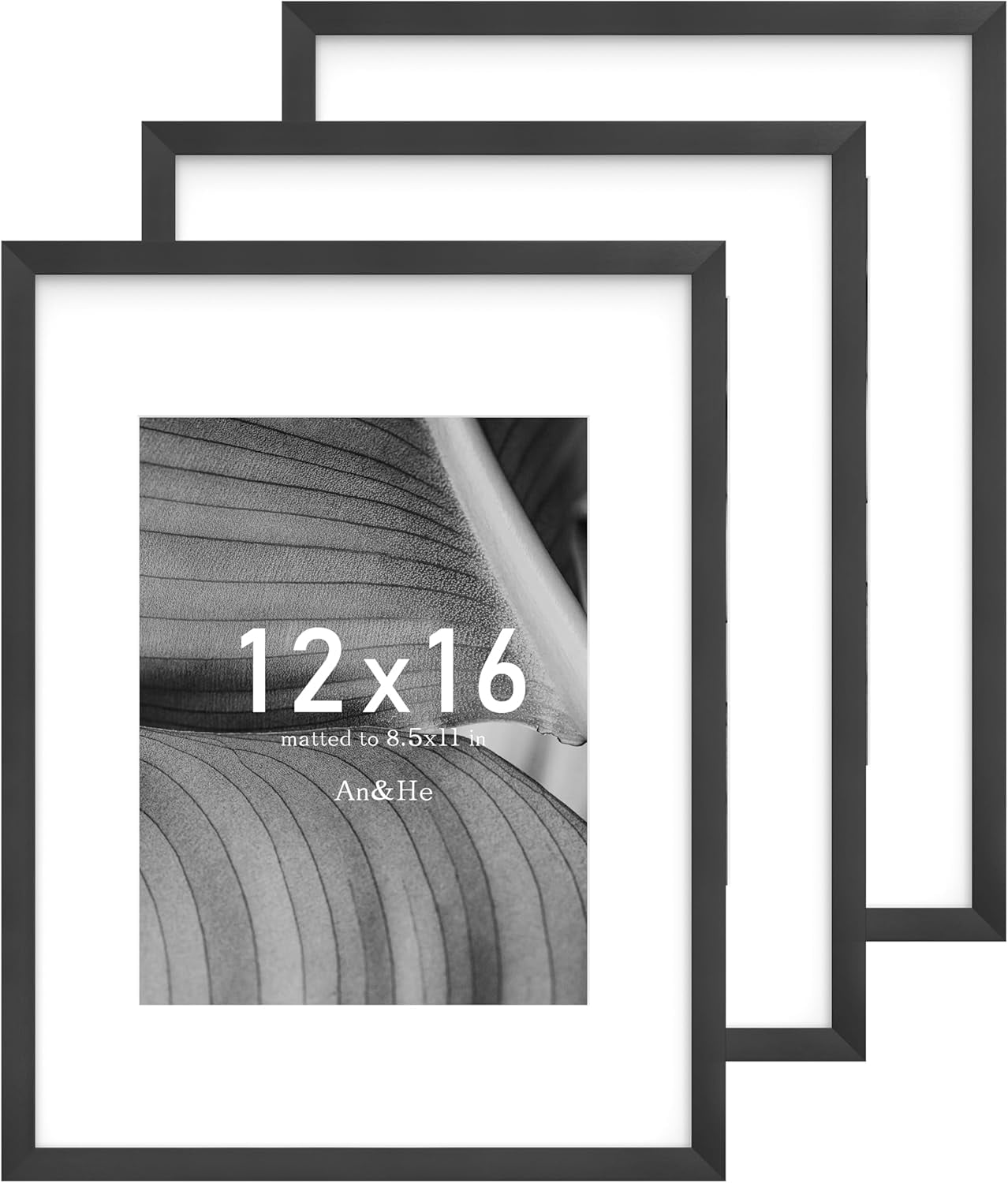 CERPXFF-12x16 Picture Frame, Black Photo Frame for Tabletop and Wall ...