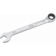 CERPXFF-17 mm 100-Tooth Ratcheting Combination Wrench WDM017-U | 12 ...