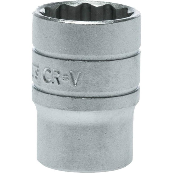 CERPXFF-25MM 1/2 Inch Drive 12 Point Metric Shallow Chrome Vanadium ...