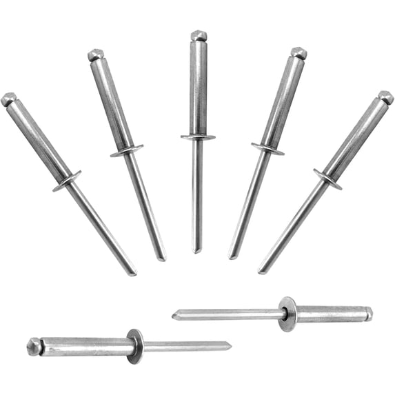 CERPXFF-60 Pcs 3/16"x1" Stainless Steel Blind Pro Rivets,4.8 x 25mm Pop ...