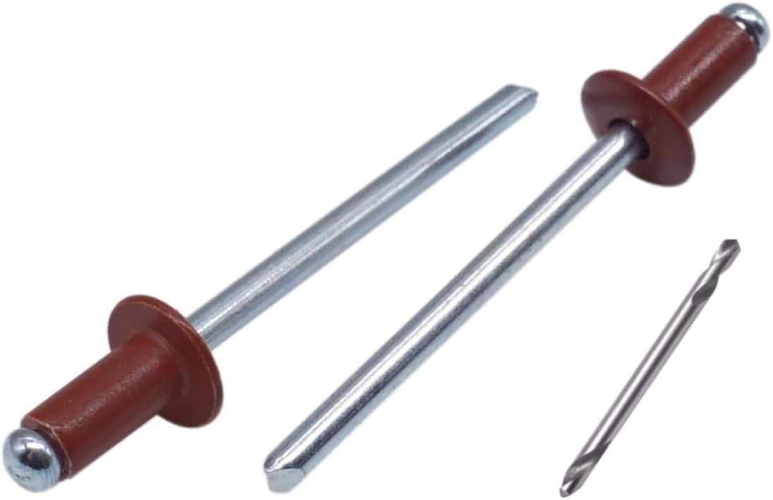 CERPXFF-(Pack of 100) Painted Blind Rivets 5/32" x 5/16" (4.0 x 8 mm ...