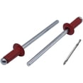 CERPXFF-(Pack of 50) Painted Blind Rivets 1/8" x 5/16" (3.2 x 8 mm ...