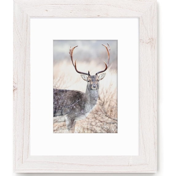 CERPXFF-Picture Frame 8x10 - Real Tempered Glass, Solid Wood Photo ...