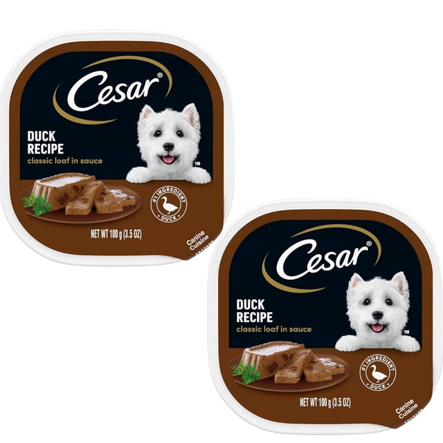 CESAR Soft Wet Dog Food Classic Loaf in Sauce Duck Recipe, (2 Pack) 3.5 ...