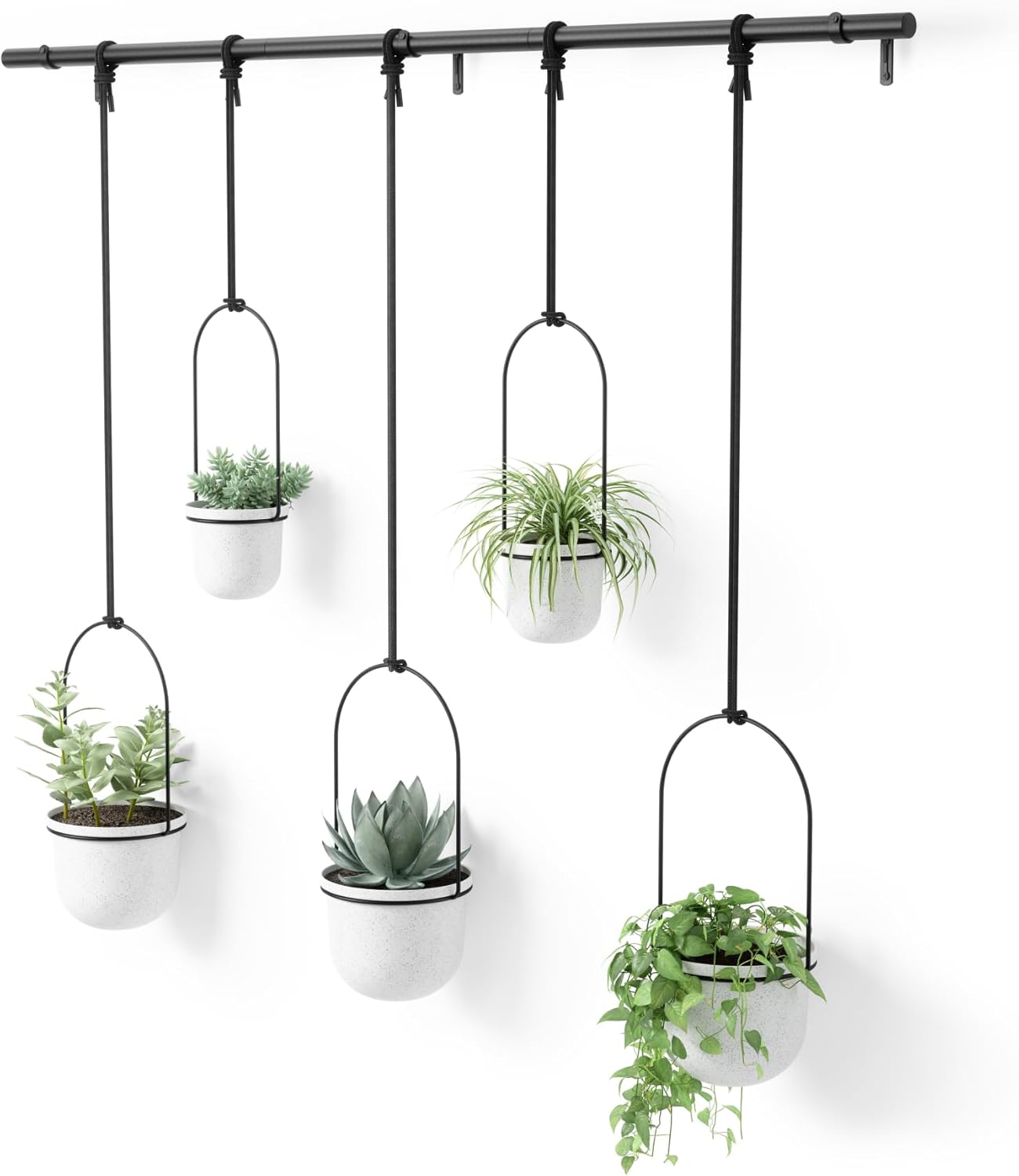 CEWIIAOA Triflora Hanging Planter for Window, Indoor Herb Garden, Set ...