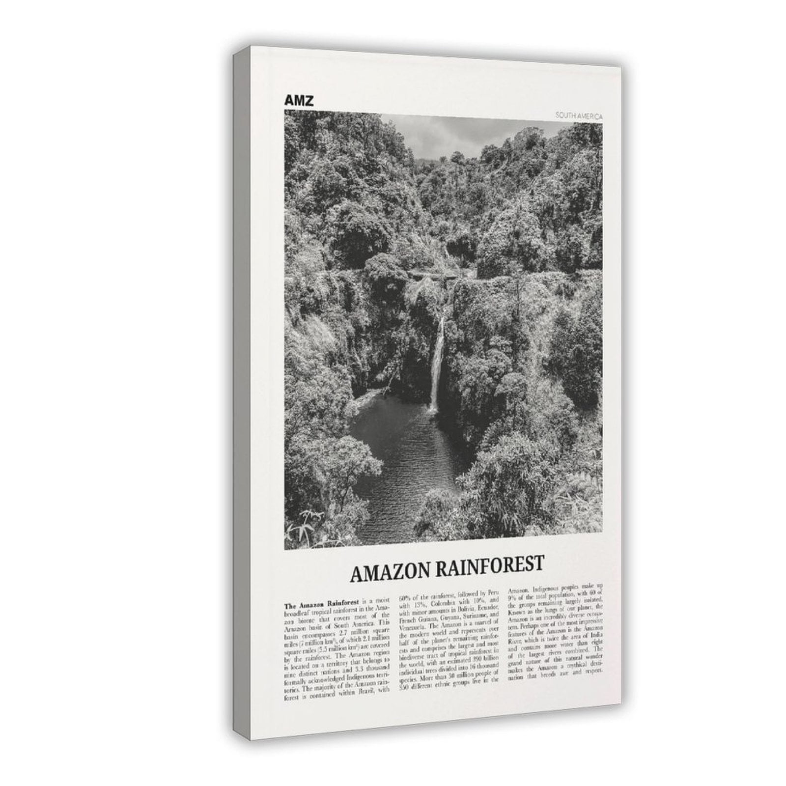 CFIOZYOS Amazon Rainforest Print Black And White, Amazon Wall Art ...