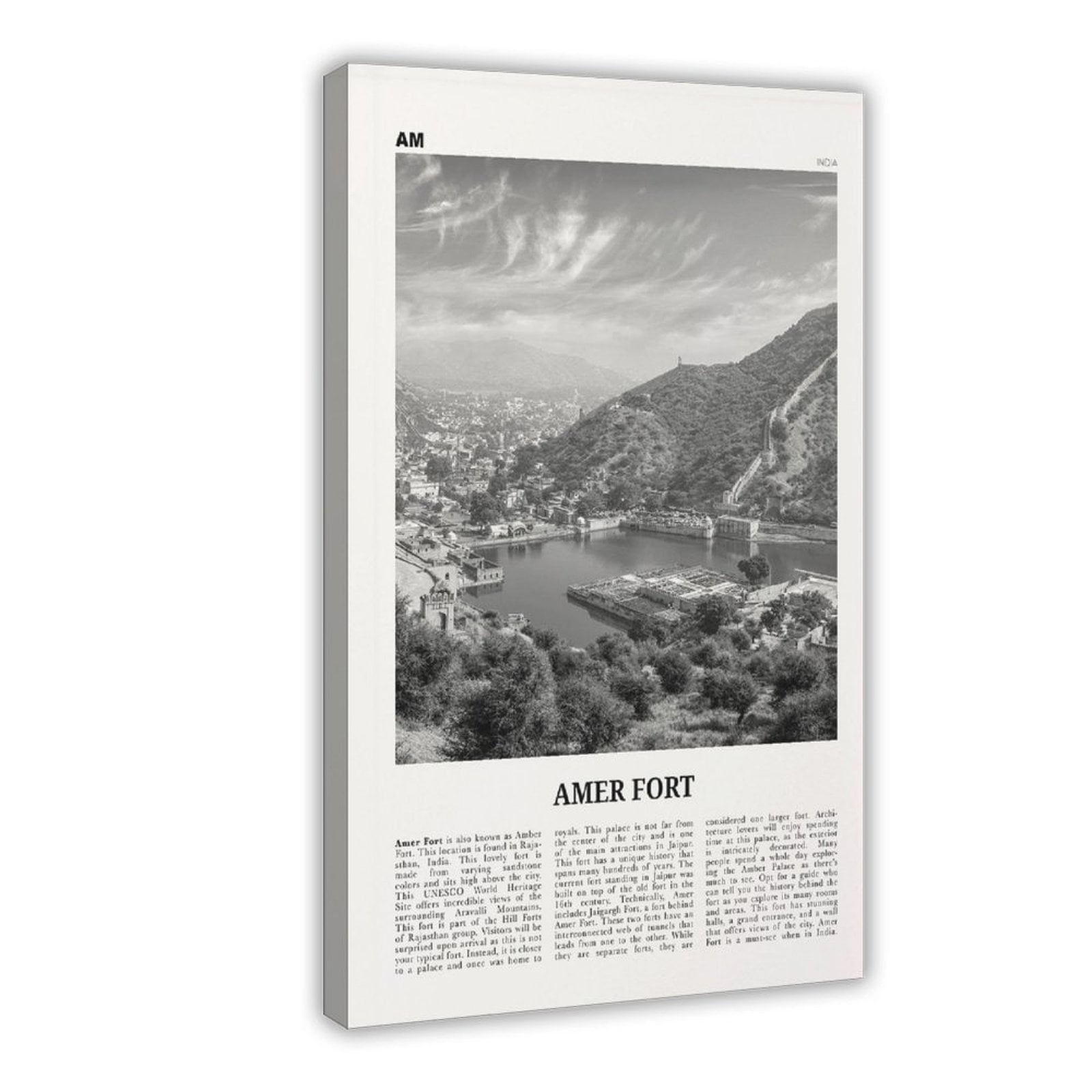 CFIOZYOS Amer Fort Print Black And White, Amer Fort Wall Art, Amer Fort ...
