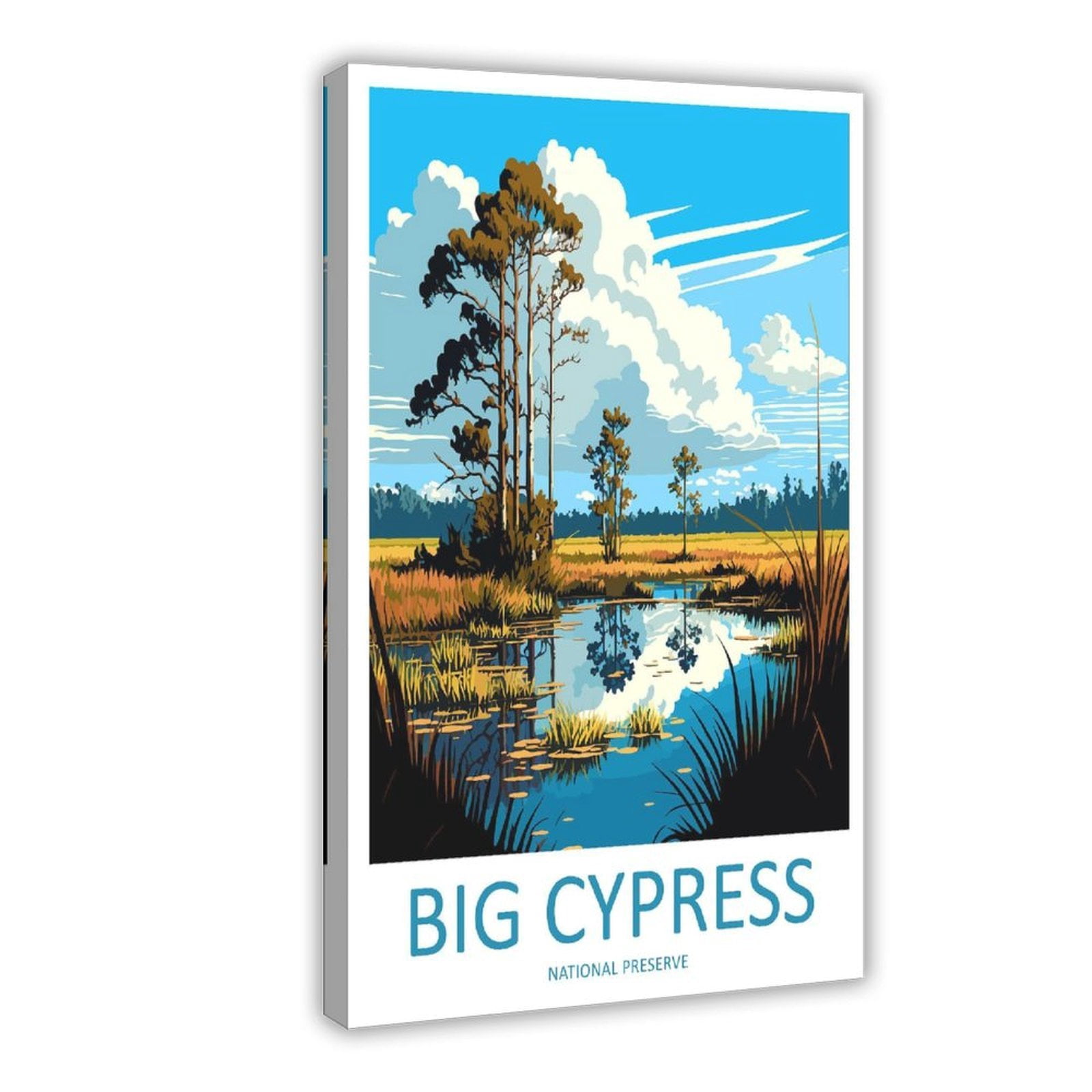 CFIOZYOS Big Cypress National Preserve Travel Print Big Cypress Décor ...