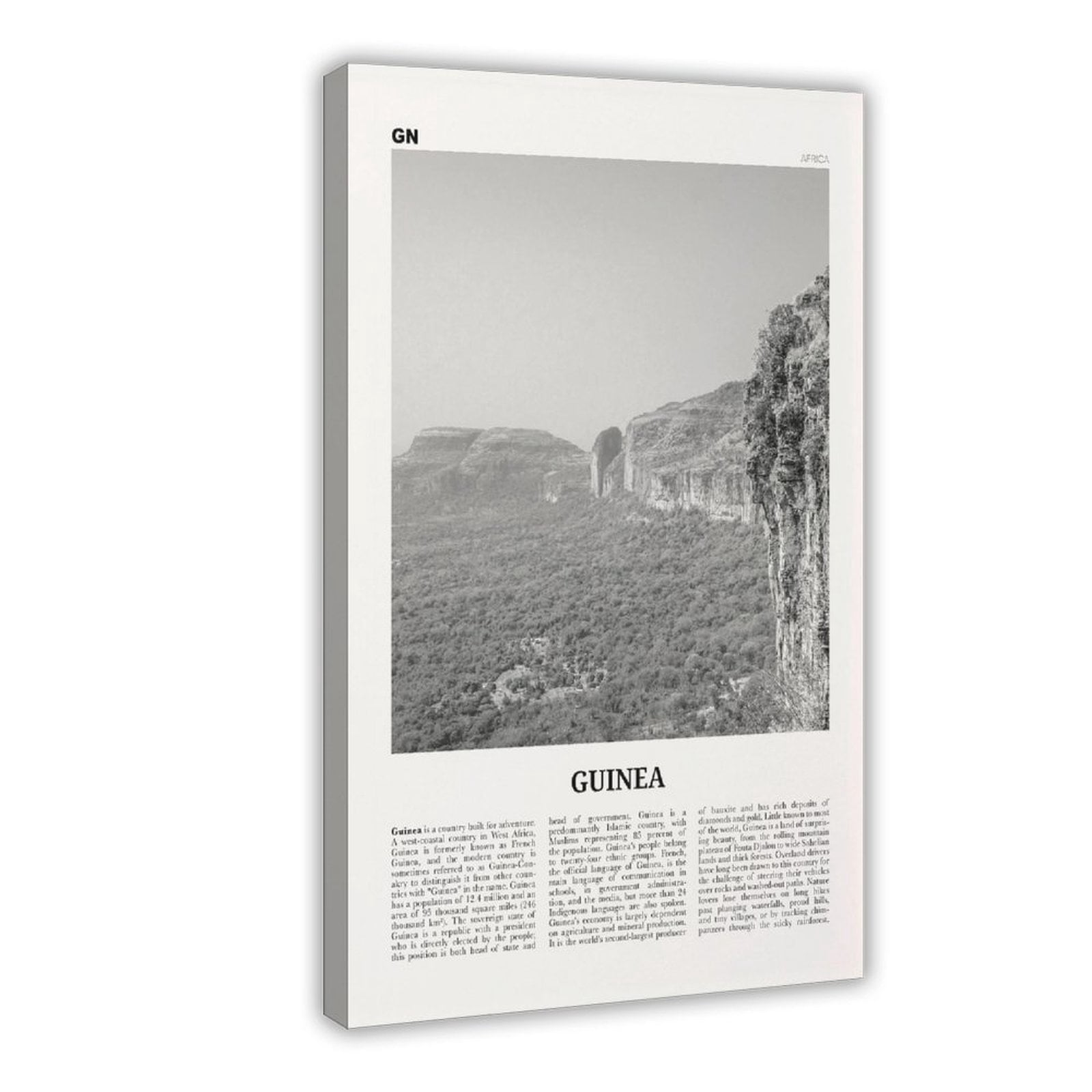 CFIOZYOS Guinea Print Black And White, Guinea Wall Art, Guinea Poster ...