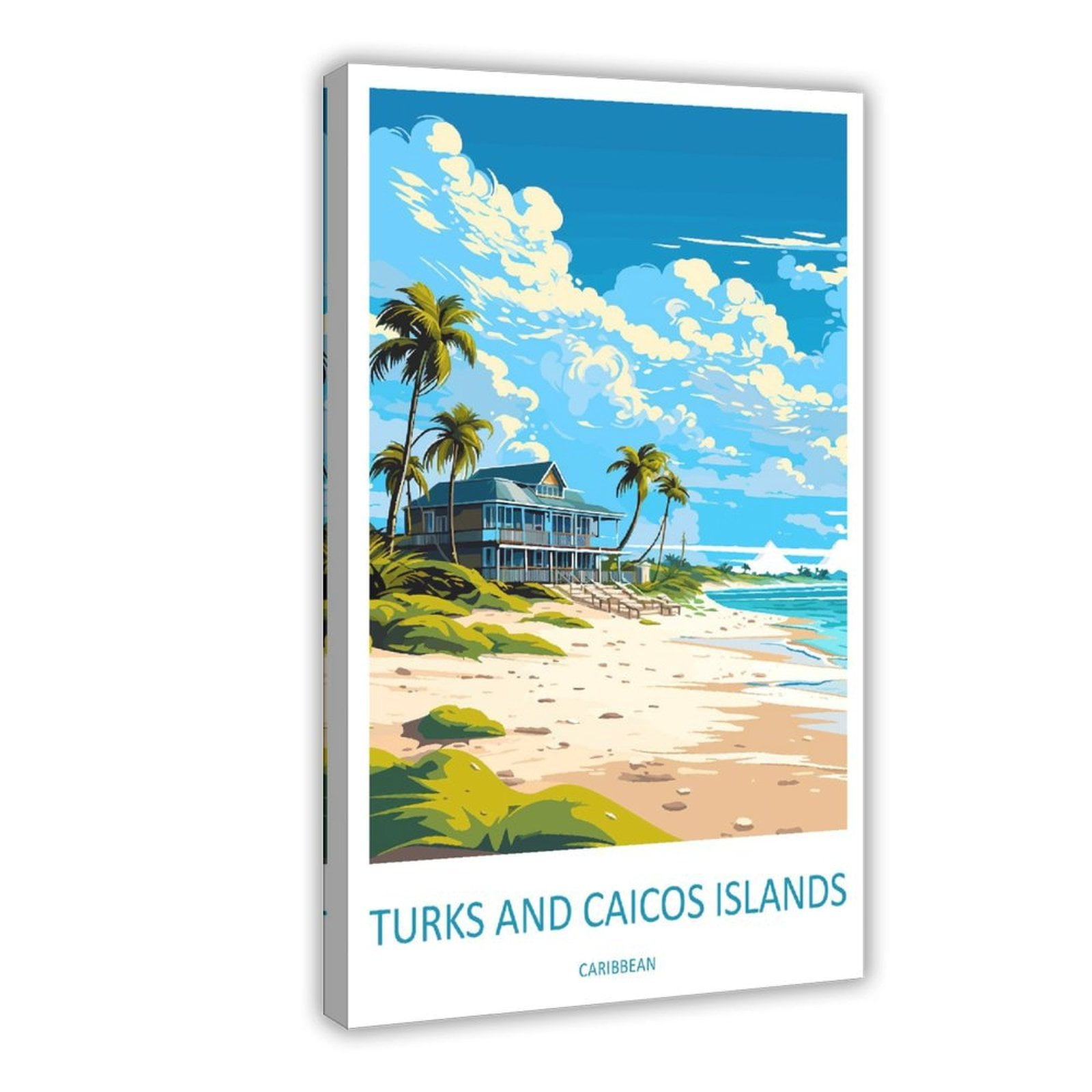 CFIOZYOS Turks And Caicos Islands Travel Print Turks And Caicos Décor ...