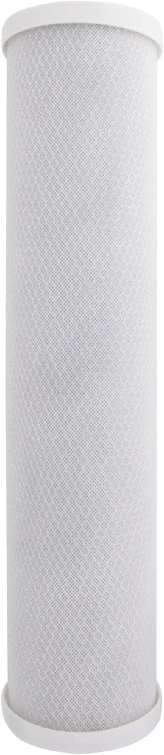 CFS Water Filter Cartridge 1 Pack – Compatible with C2-02 – Removes Bad ...