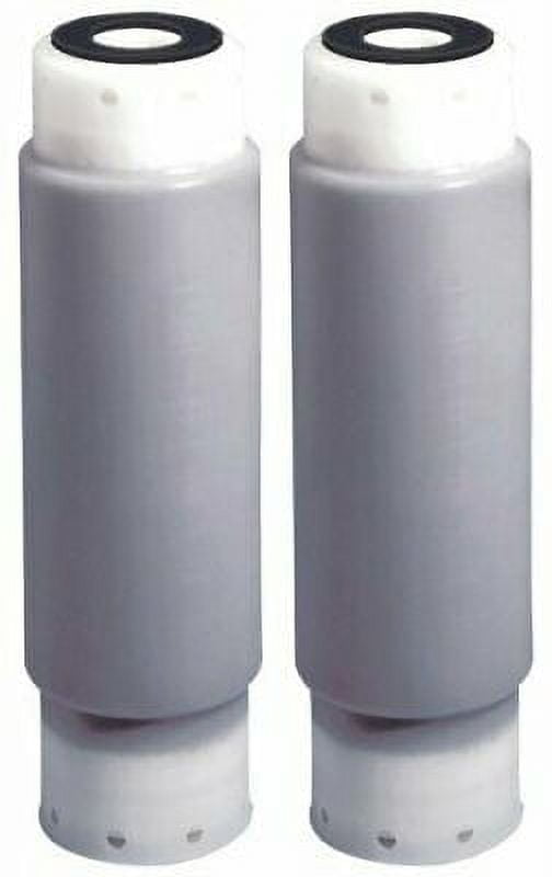 CFS 2 PK Replacement Water Filter Fits AP117, AP11T, AP101, AP102T ...