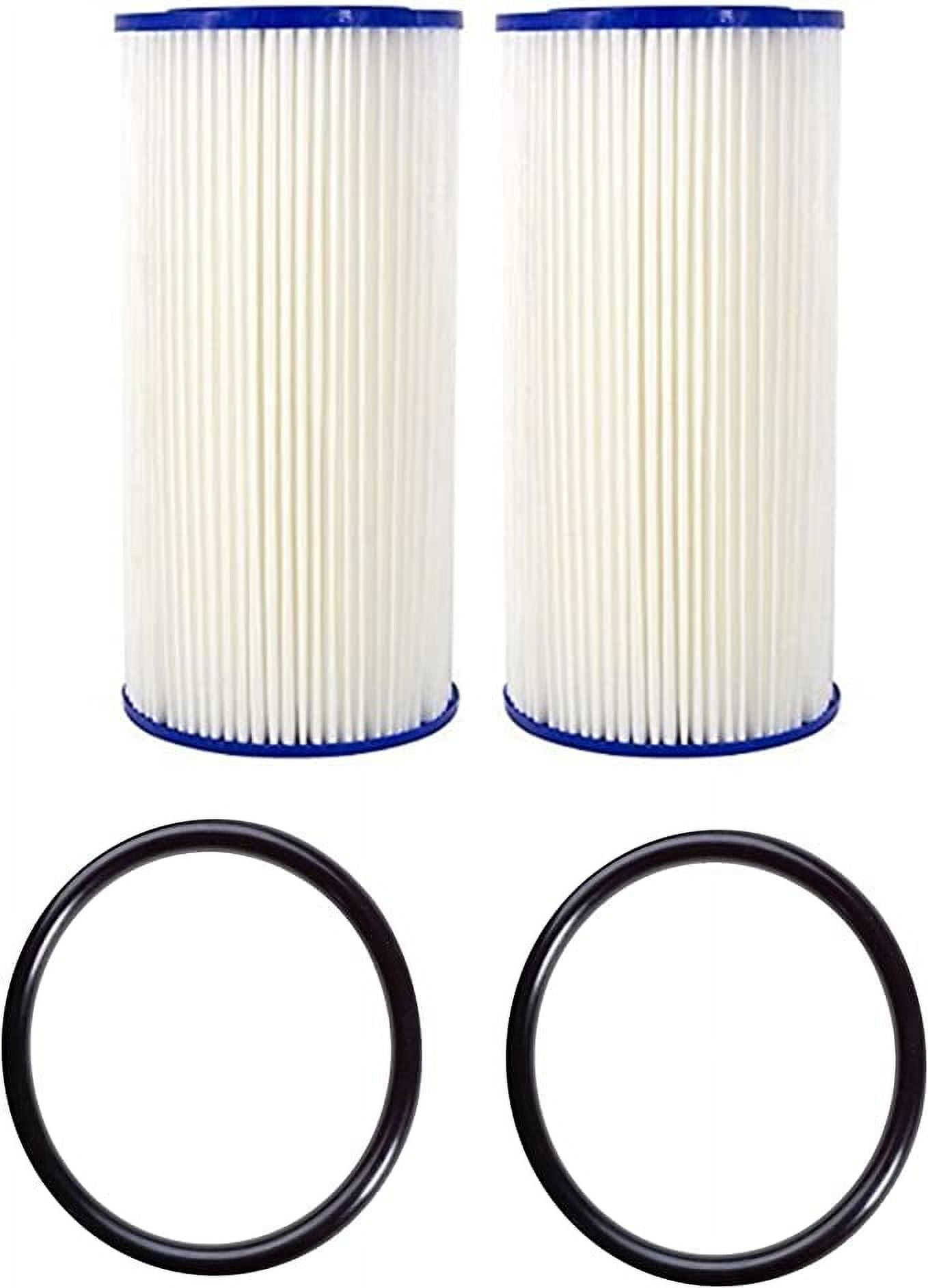 CFS - 2 Pack Universal Water Filter Cartridges Compatible with AO-WH ...