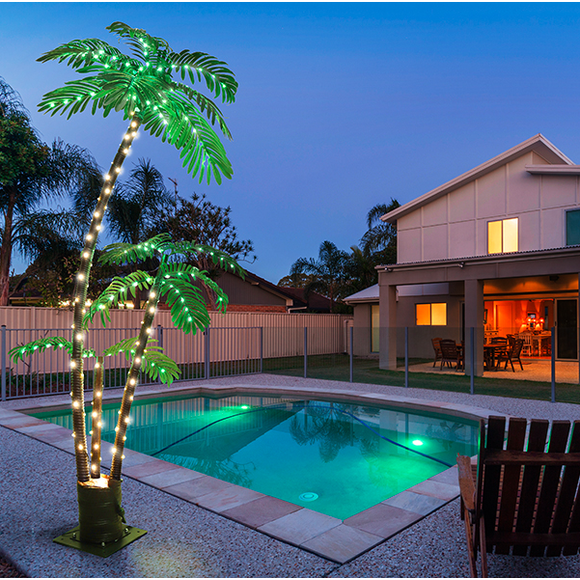 Christmas Palm Tree With Lights