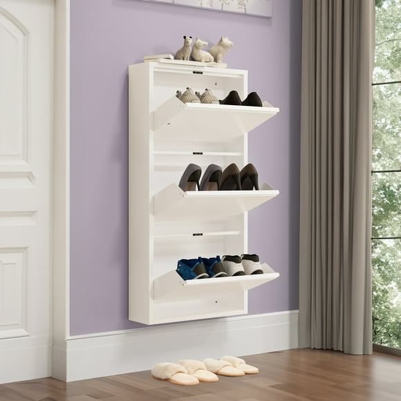 Wall Mounted Shoe Cabinet