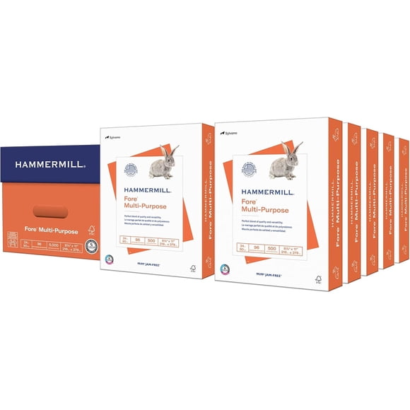 10 Ream Copy Paper in Paper - Walmart.com