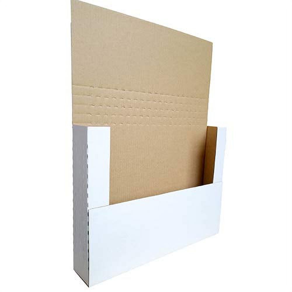 Quality Park, QUAS3620, Survivor Ship-Lite Plain Envelopes, 100 / Box ...