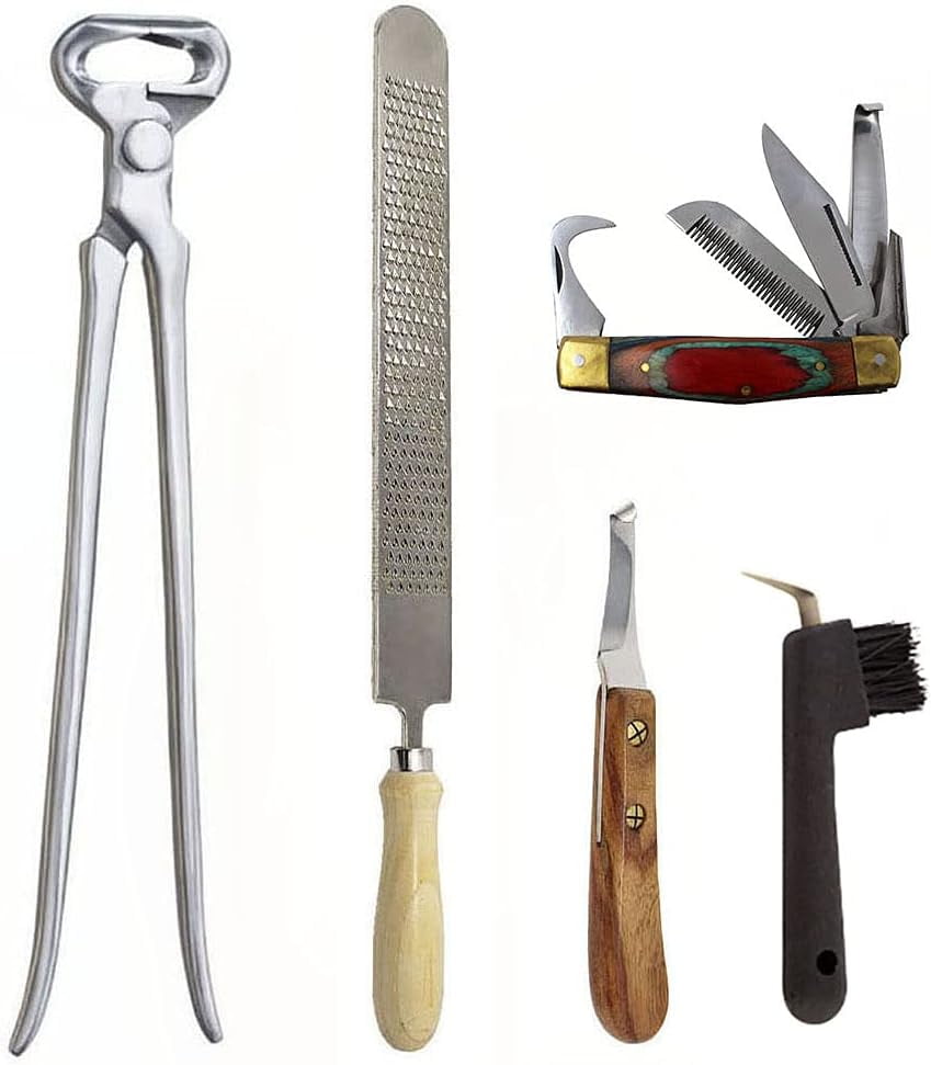 CHALLENGER Horse Farrier Tool Horse Farrier Essentials 5-Piece Groom ...