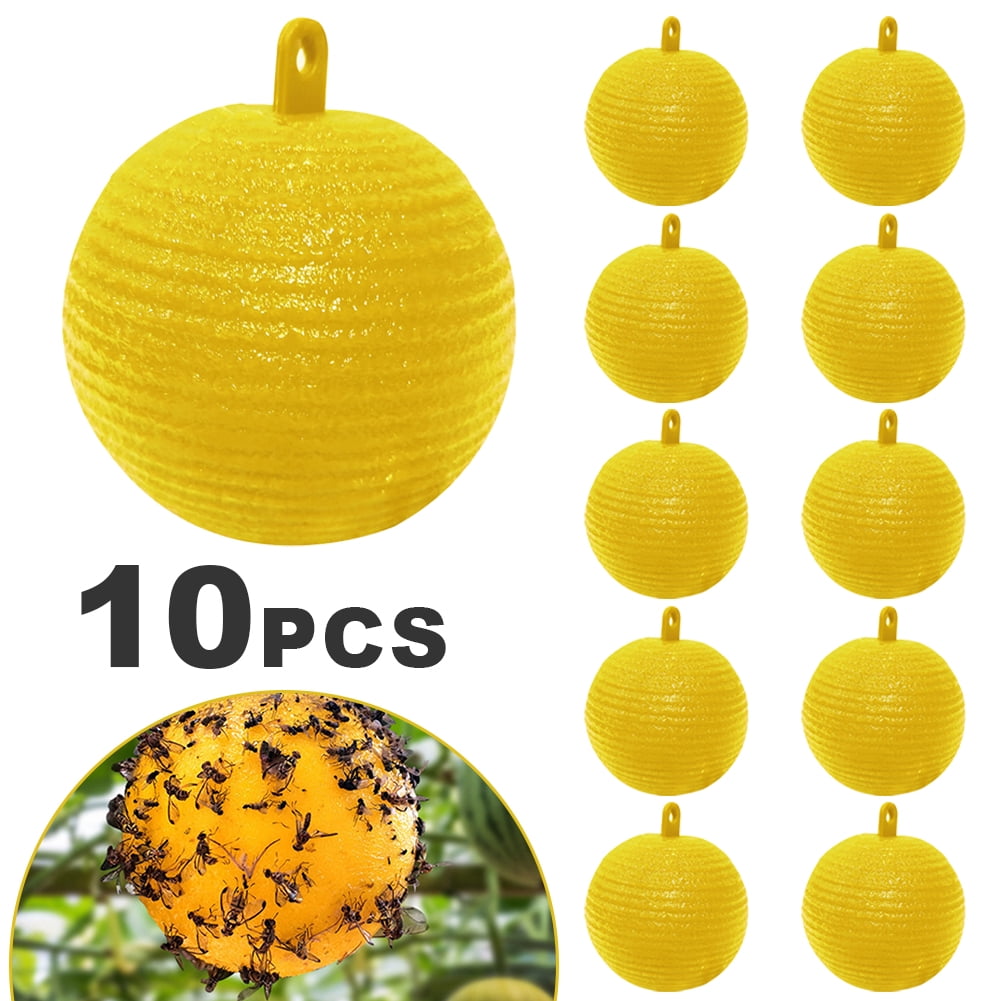 CHAMAIR Fruit Fly Traps Ball Sticky Traps Ball, Gnat Traps Flying ...