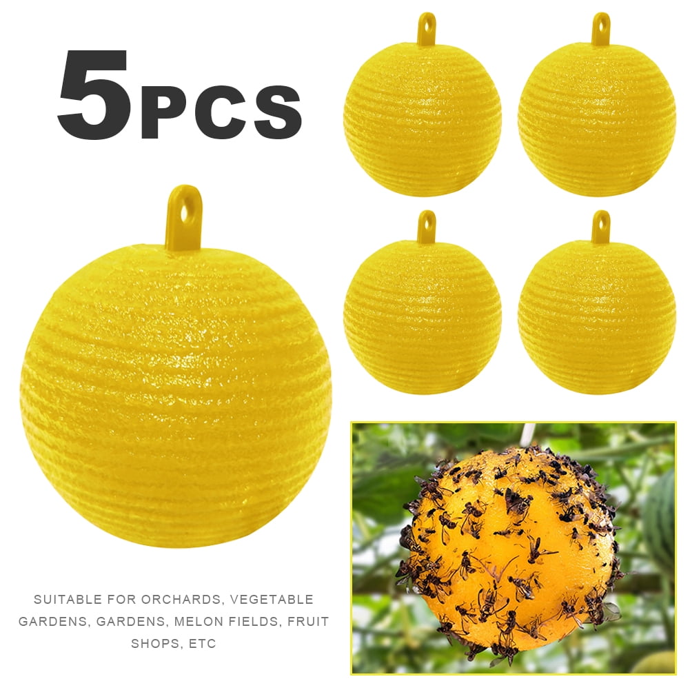 CHAMAIR Fruit Fly Traps Ball Sticky Traps Ball, Gnat Traps Flying ...