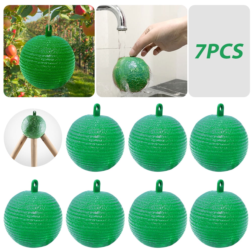 CHAMAIR Fruit Fly Traps Ball Sticky Traps Ball, Gnat Traps Flying ...