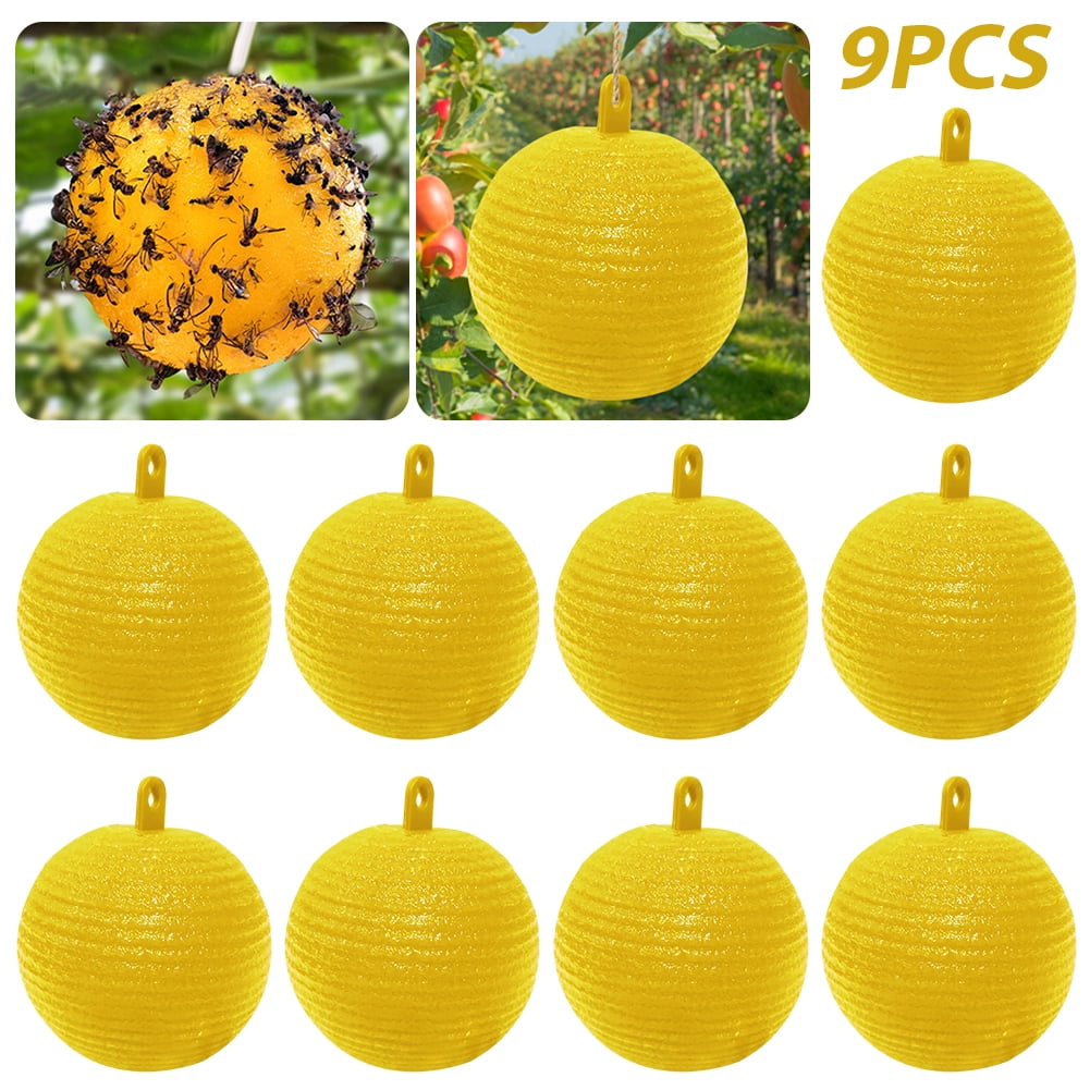 CHAMAIR Fruit Fly Traps Ball Sticky Traps Ball, Gnat Traps Flying ...