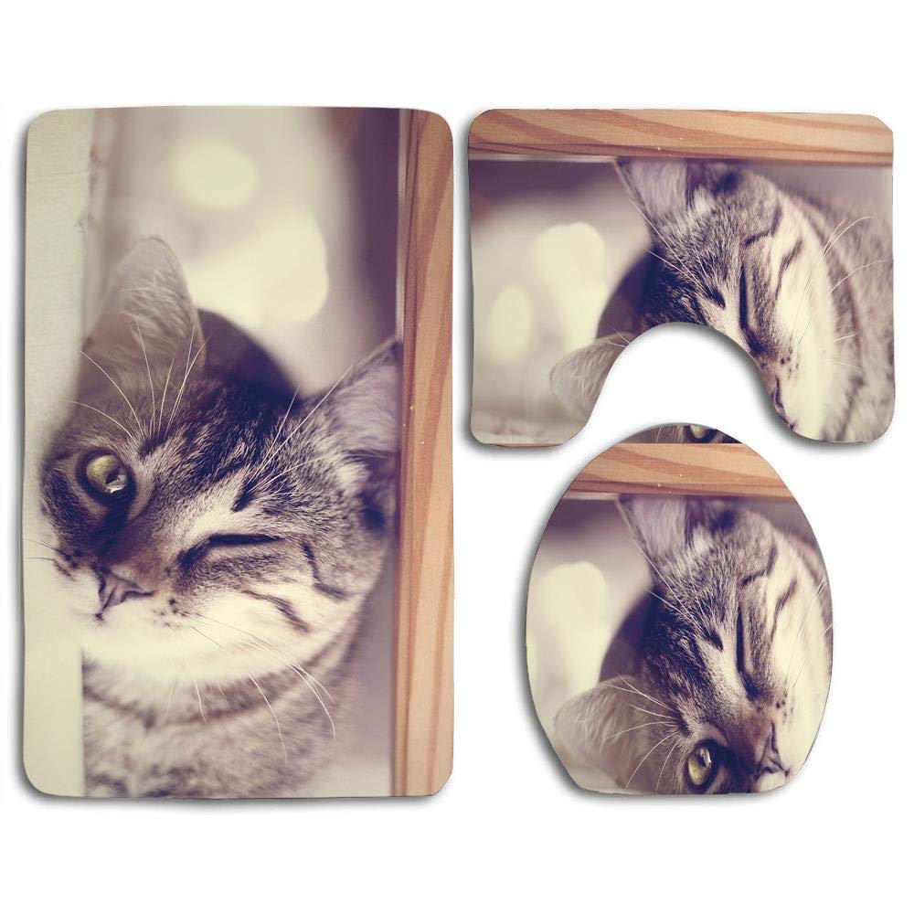 CHAPLLE Funny Lazy Cat 3 Piece Bathroom Rugs Set Bath Rug Contour Mat ...