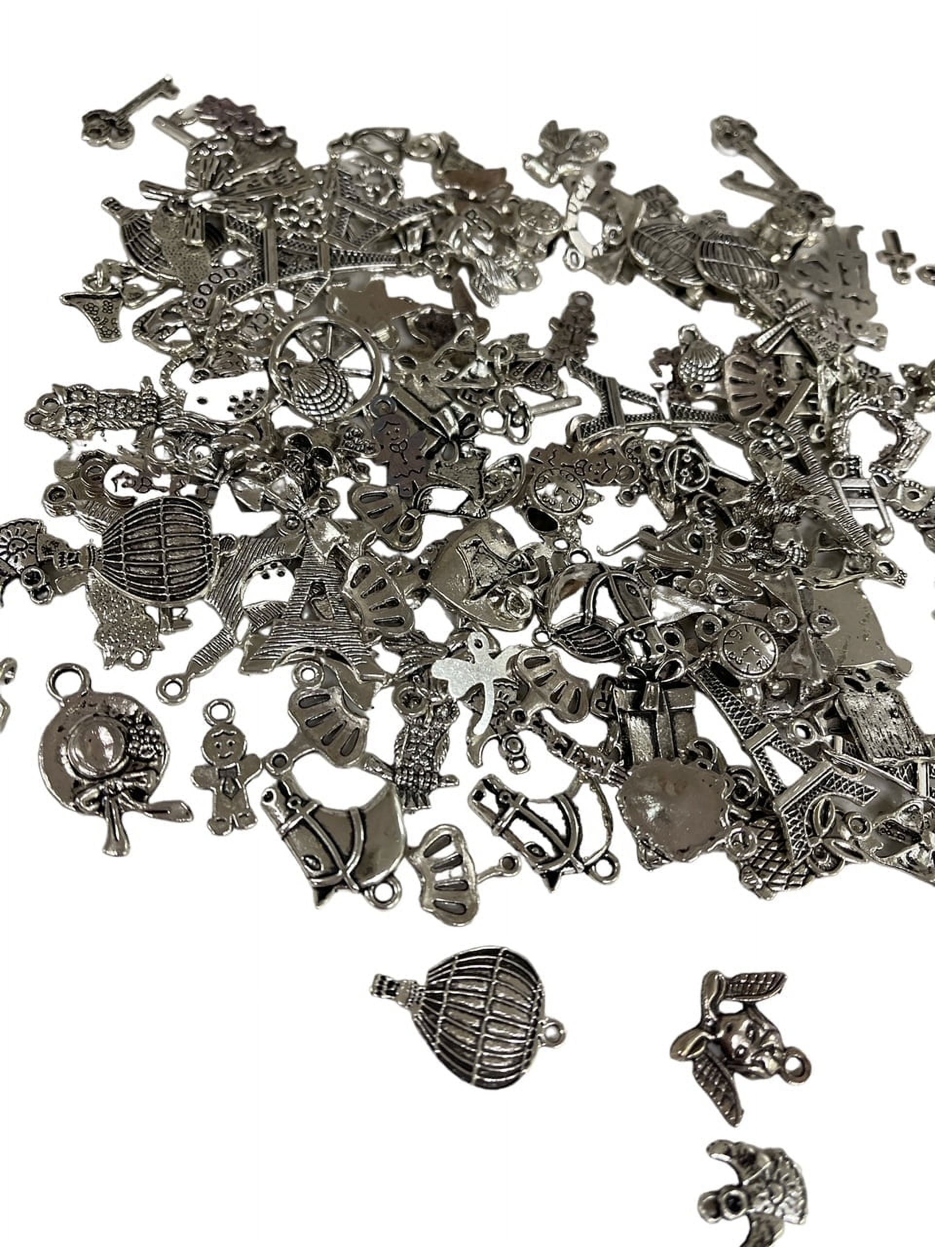 Charmed DIY Bracelet Pendants Supplies, 100 Silver Metal Charms for ...