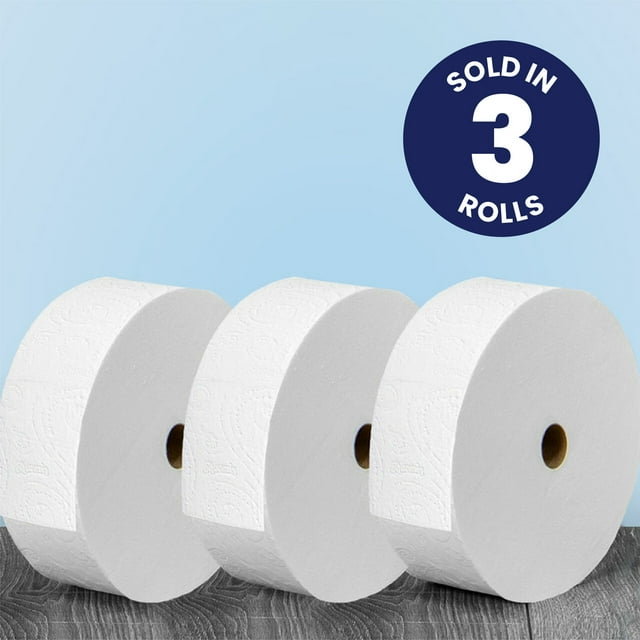Free Shipping! CHARMIN FOREVER ROLL ULTRA SOFT - 3 ROLL PACK - Walmart.com