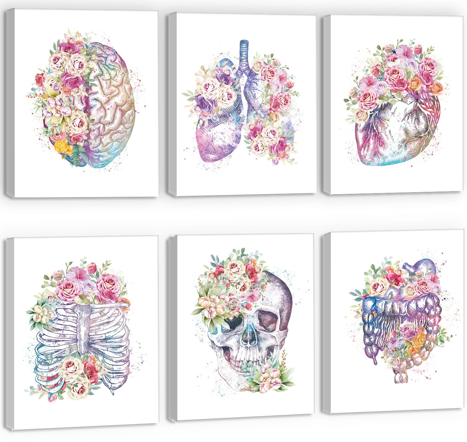 CHDITB Medical Anatomical Art Set 6(8”x10”) Vintage Gothic Anatomy ...