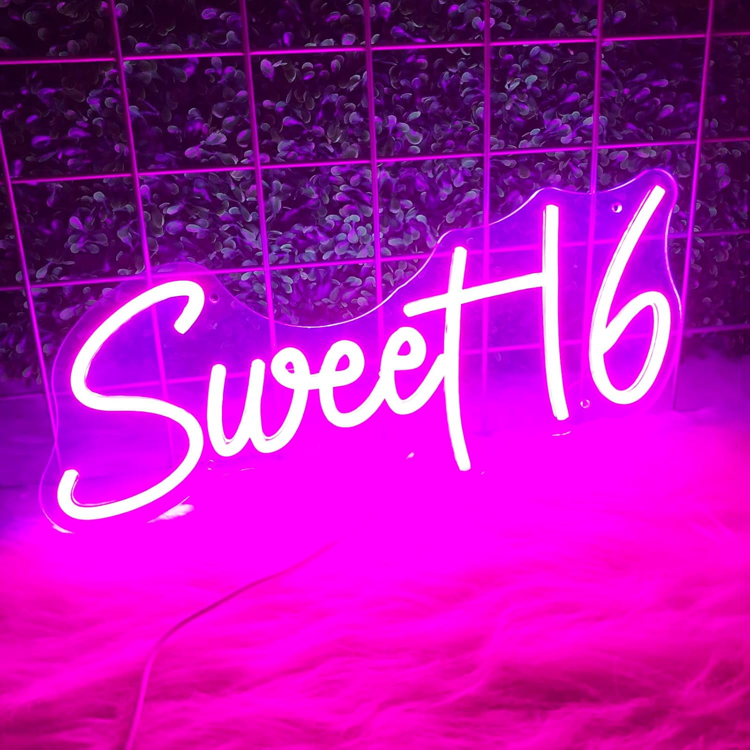 CHE-16.8 Inch Sweet 16 Neon Sign, USB Powered with Dimmer Switch 16th ...