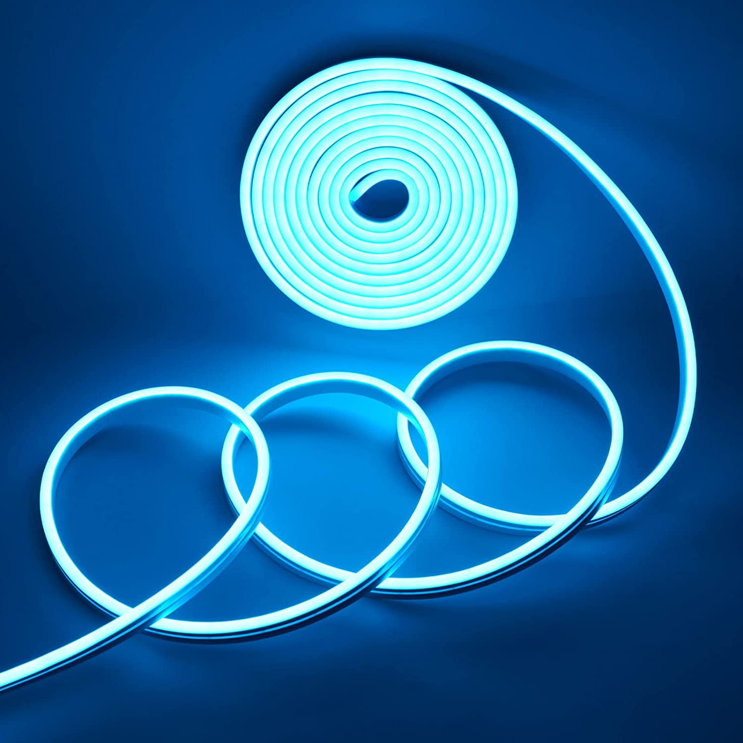 CHE-EverBright Led Neon Strip Lights 12V Rope Silicone Indoor Outdoor ...