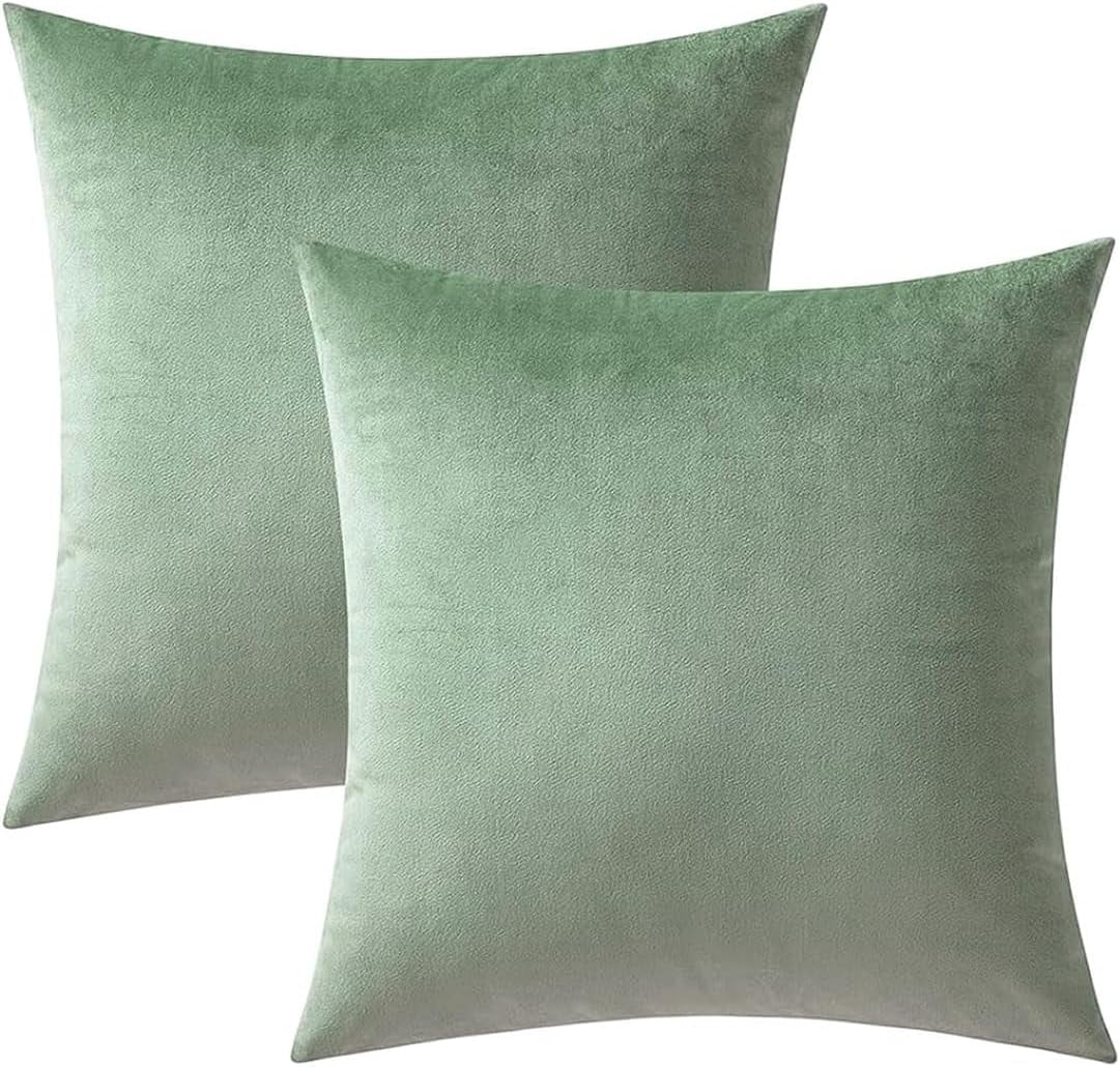 CHE-Throw Pillow Covers Decorative 20X20 Set of 2 Sage Green Outdoor ...