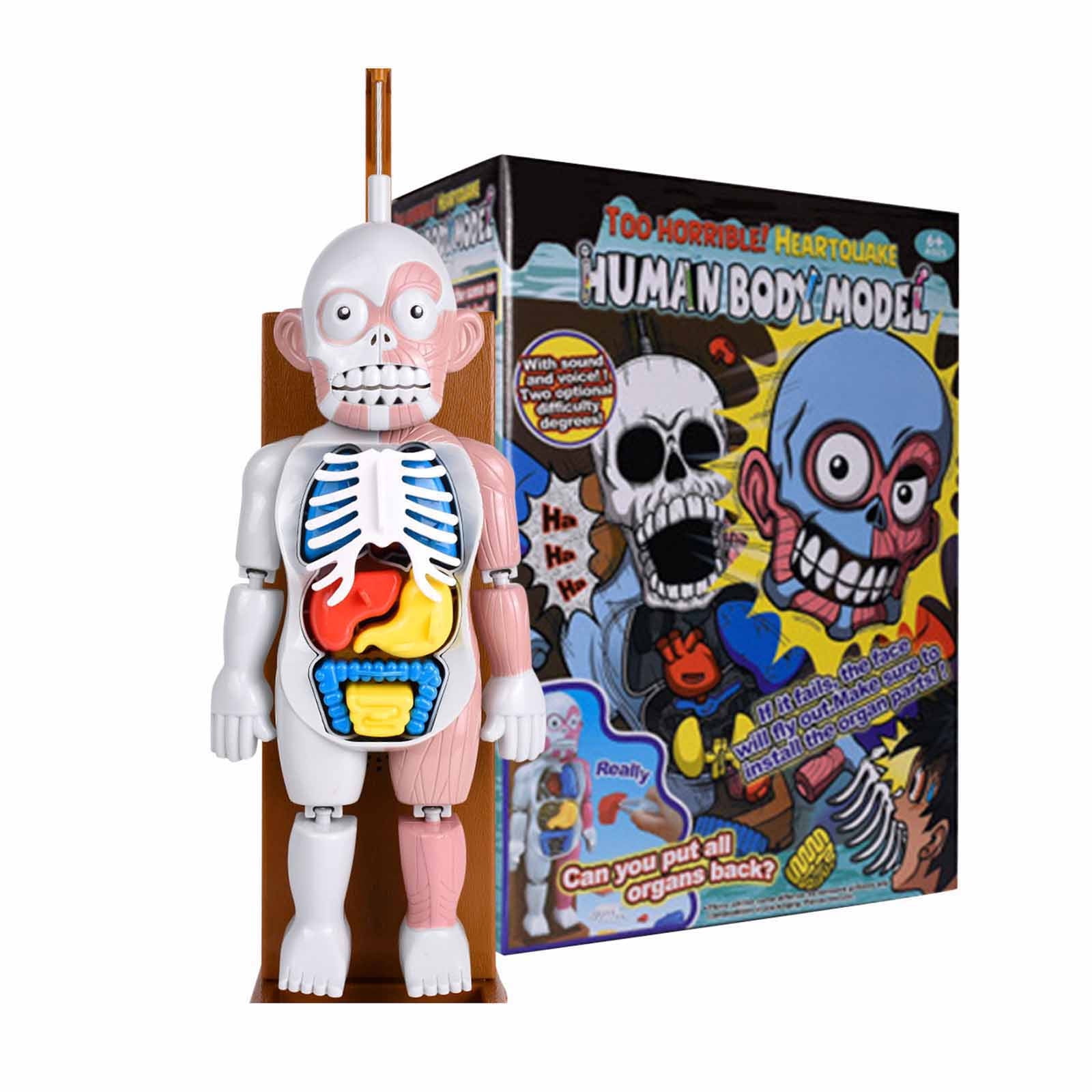 CHEEPUM Giggle Wiggle Doll for Anxiety 40 Children's Toy Human Body ...