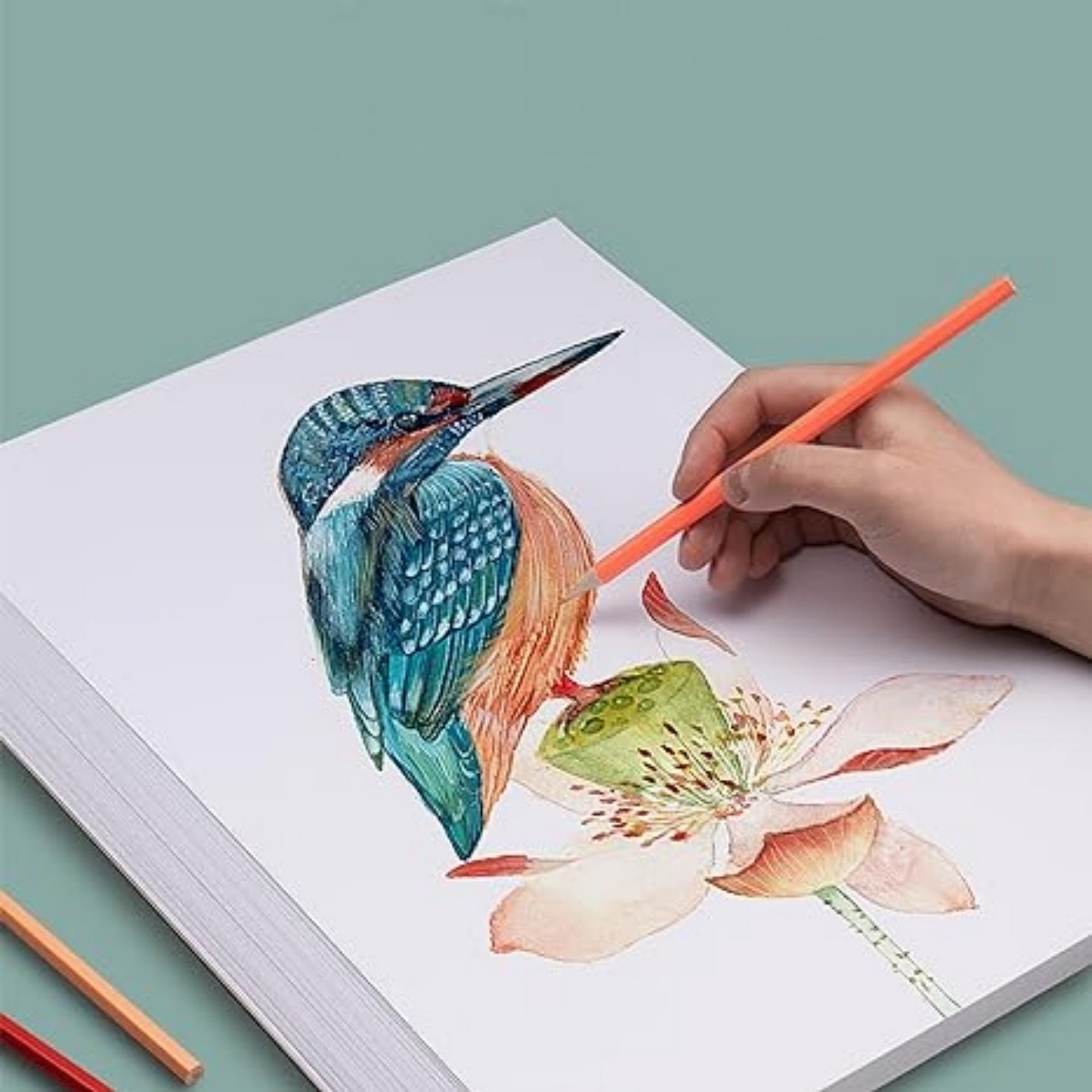 CHEERFUN 1000 Sheets A4 White Printer Paper 80gsm Copier Paper for ...