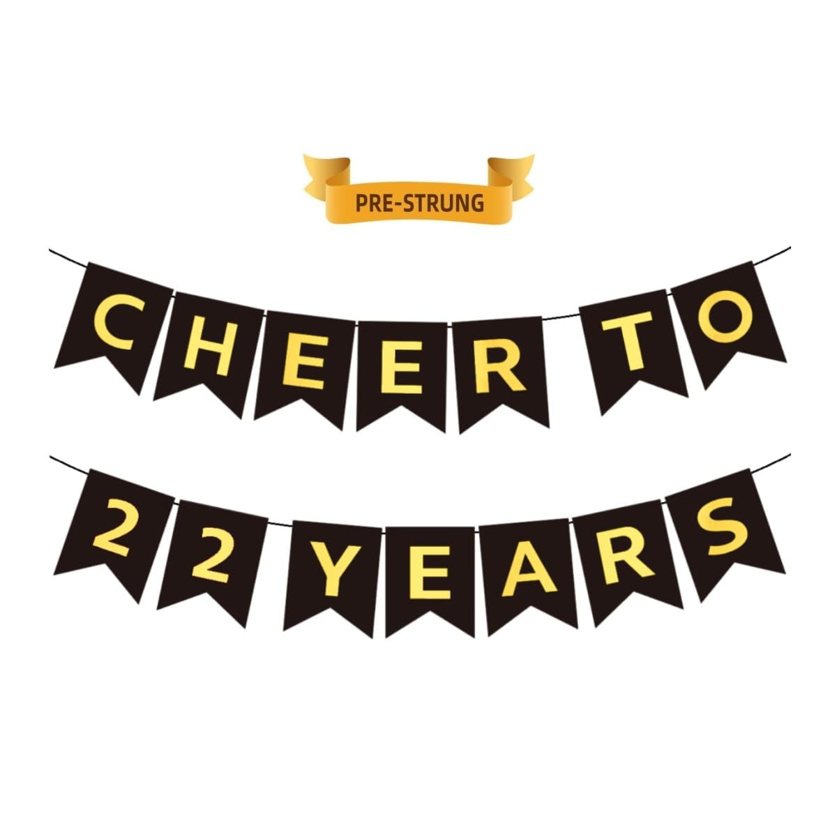 CHEERS TO 22 YEARS YPF5 Banner, Pre-Strung, Black Gold Birthday and ...