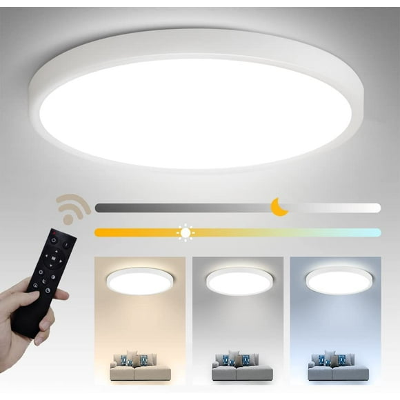 Remote Controlled Ceiling Light Fixture