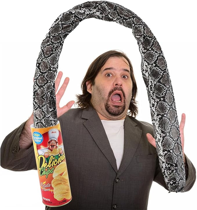 CHENG Potato Chip Shaped Spring Snake, Can Jump, Suitable For April ...