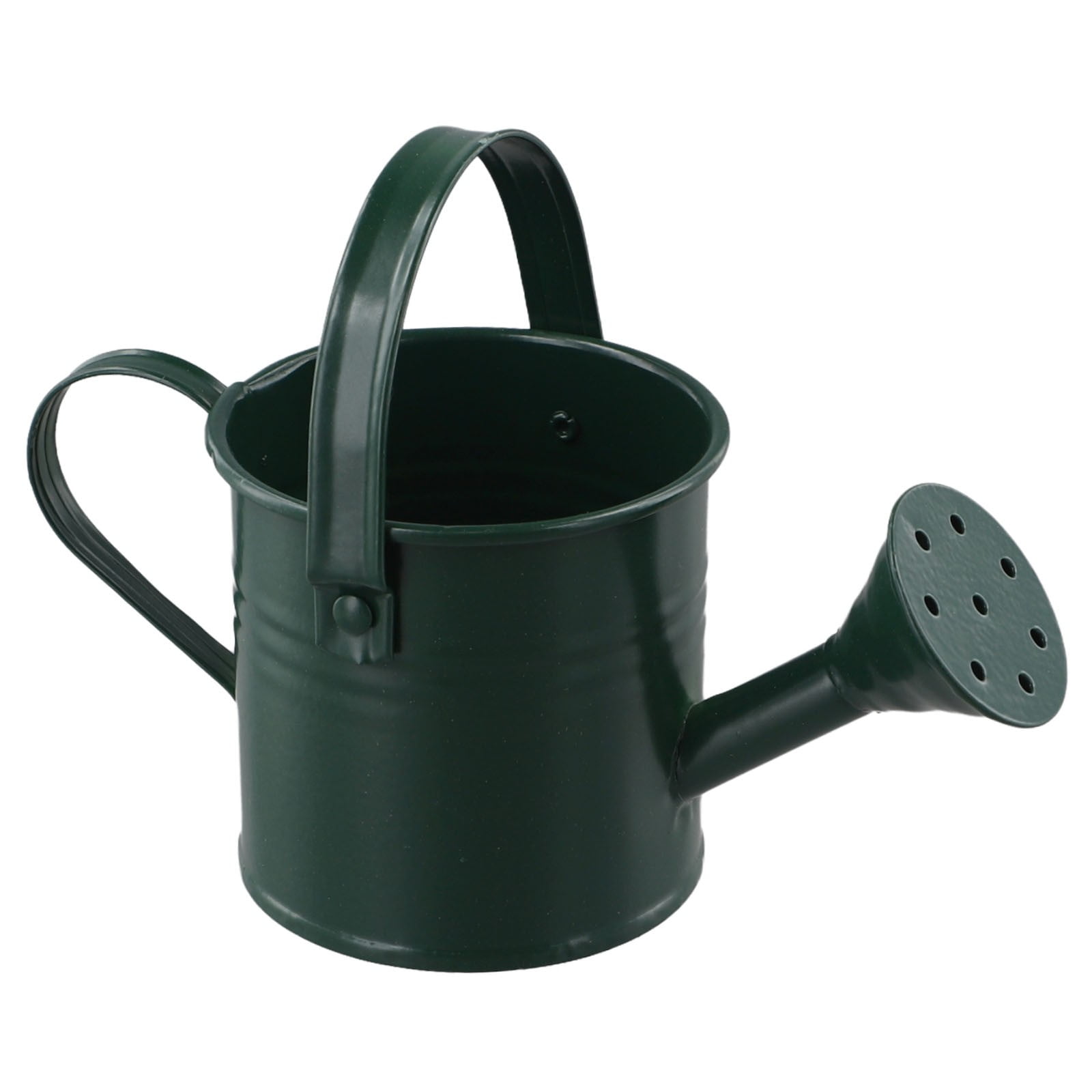 CHENGSI Garden Watering Can Metal Long Spout Sprinkler Pot Indoor ...