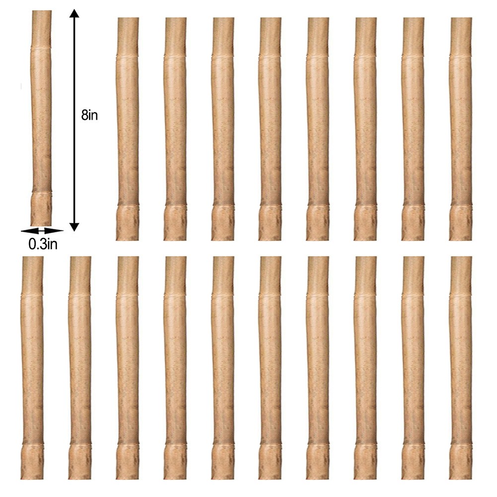CHENGSI for Natural Plant Support Stakes 20-Pack - Reusable Sturdy ...