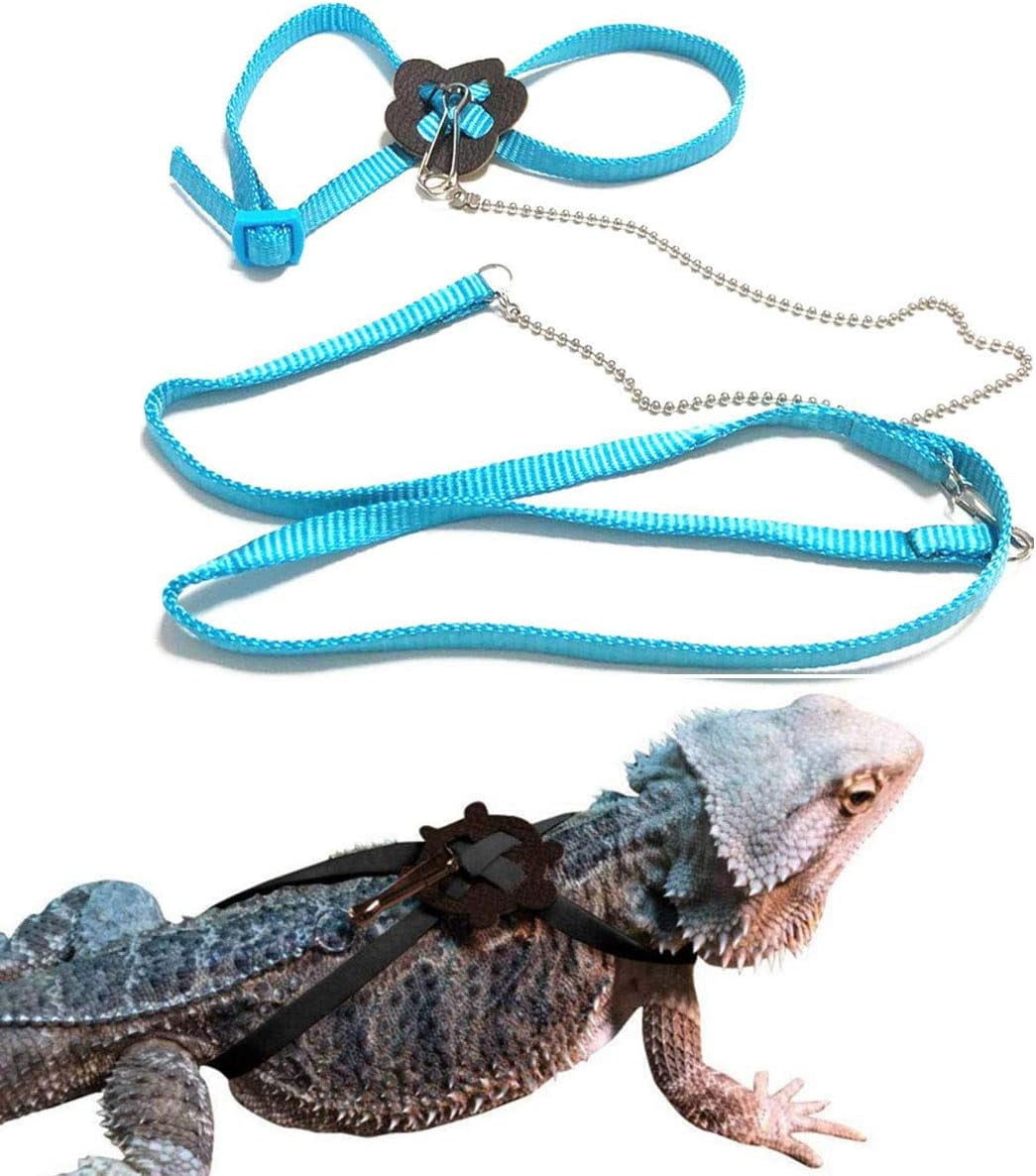 CHENHAINAN Adjustable Reptile Lizard Harness Leash,Turtle Lizard Pet ...